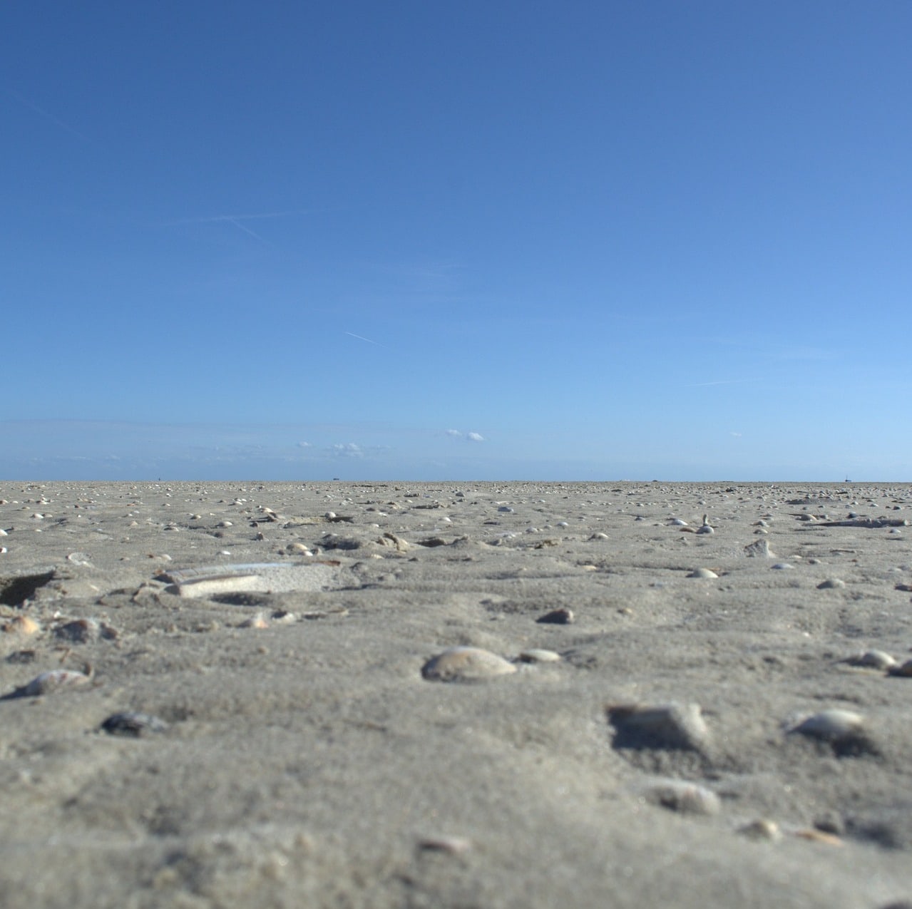 Schreibe mir eine Nachricht | mitabstand.sh